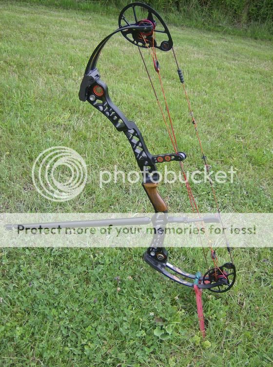Monster 7 | Archery Talk Forum