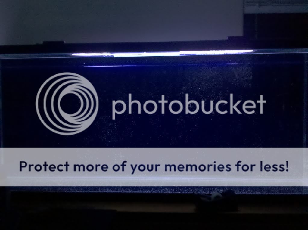 What color background?? - SimplyDiscus